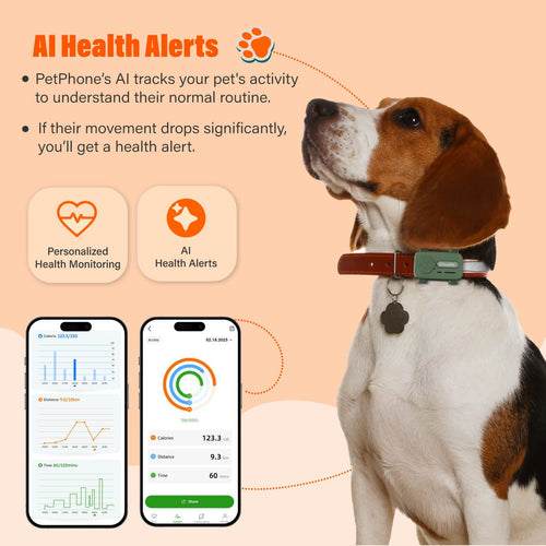 GlocalMe PetPhone| First Smartphone Designed For Pet
